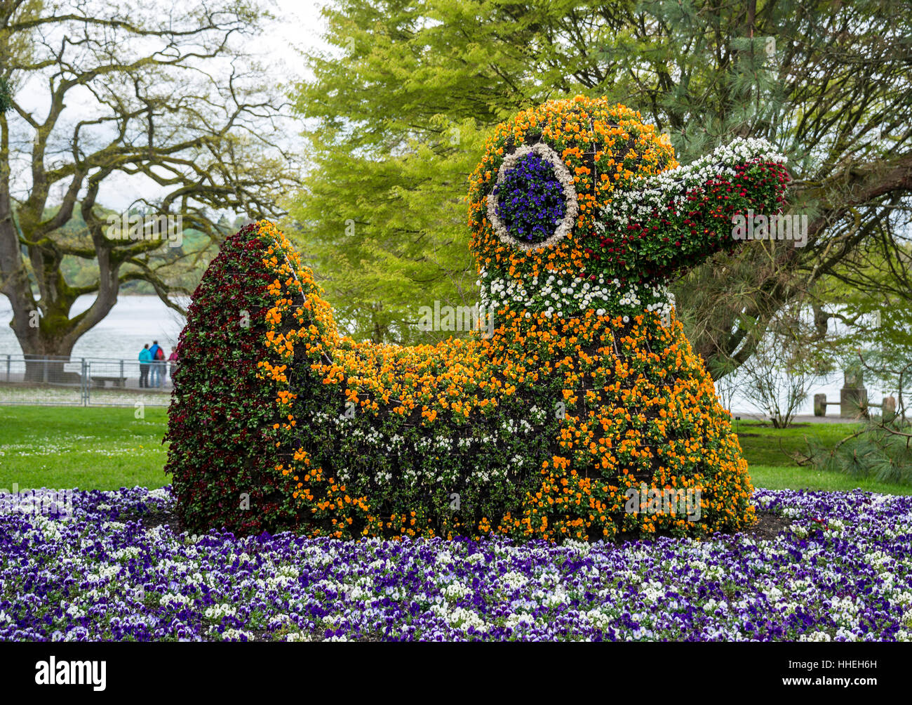 Flower sculpture, duck made of flowers, Mainau, Lake Constance, Baden ...