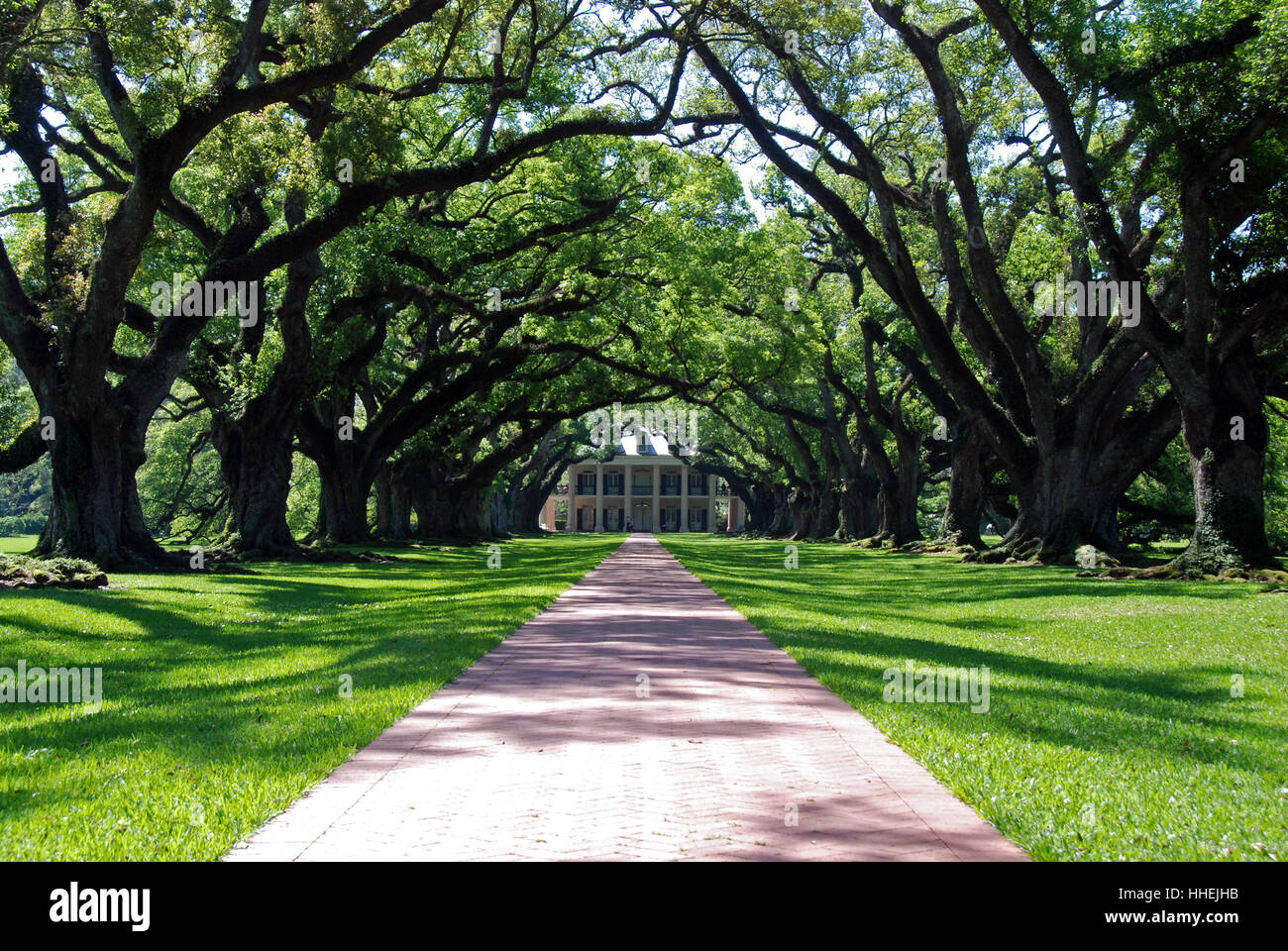 oak alley 2 Stock Photo - Alamy