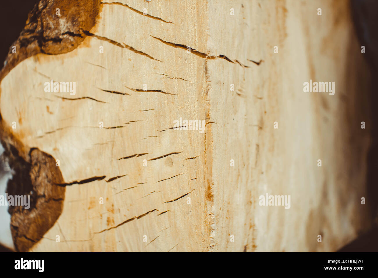 slice of wood sawn off with a chain saw Stock Photo - Alamy