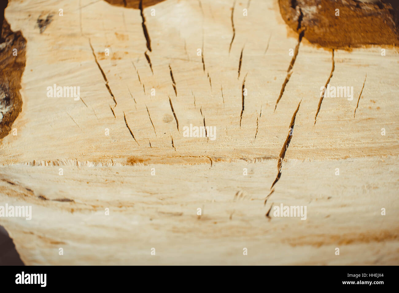 slice of wood sawn off with a chain saw Stock Photo - Alamy