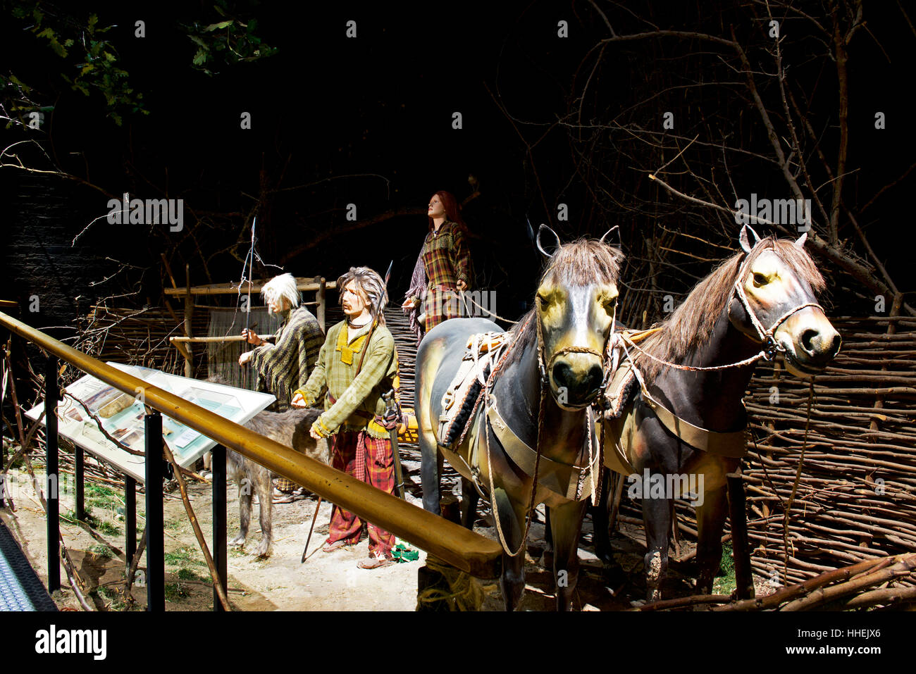 Inside hull east riding museum hi-res stock photography and images - Alamy