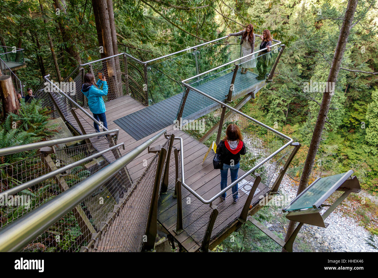 Tourists on the Capilano Park Treetops Adventure, Vancouver, British ...