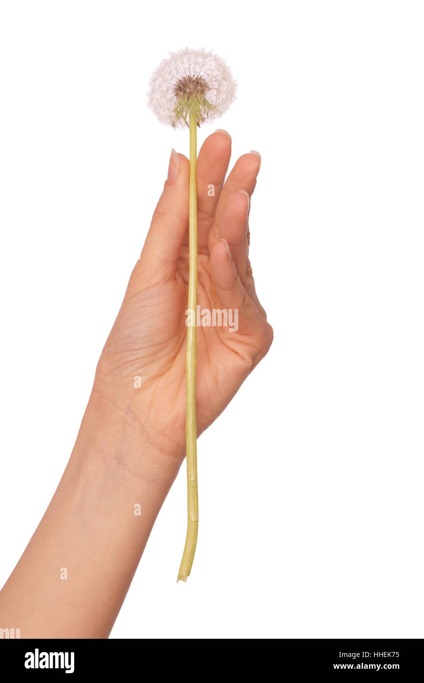 Weeding finger hi-res stock photography and images - Alamy
