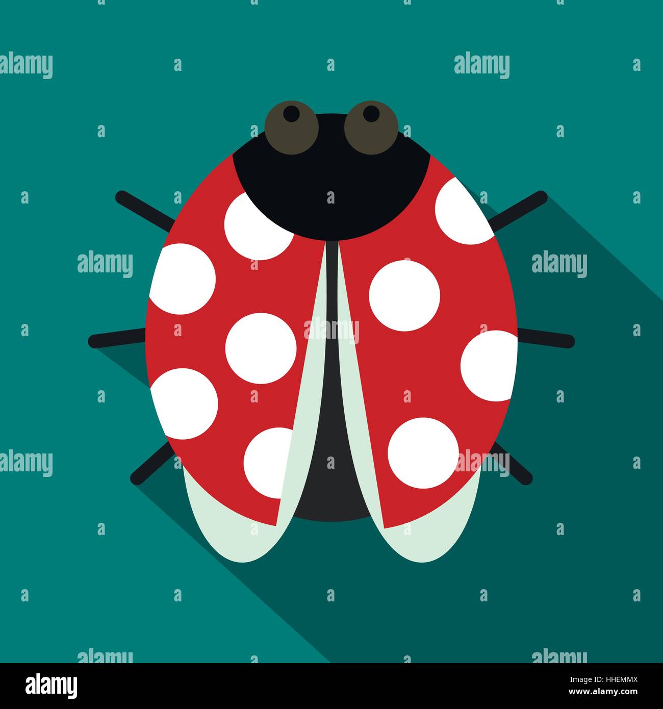Best ladybug hi-res stock photography and images - Alamy