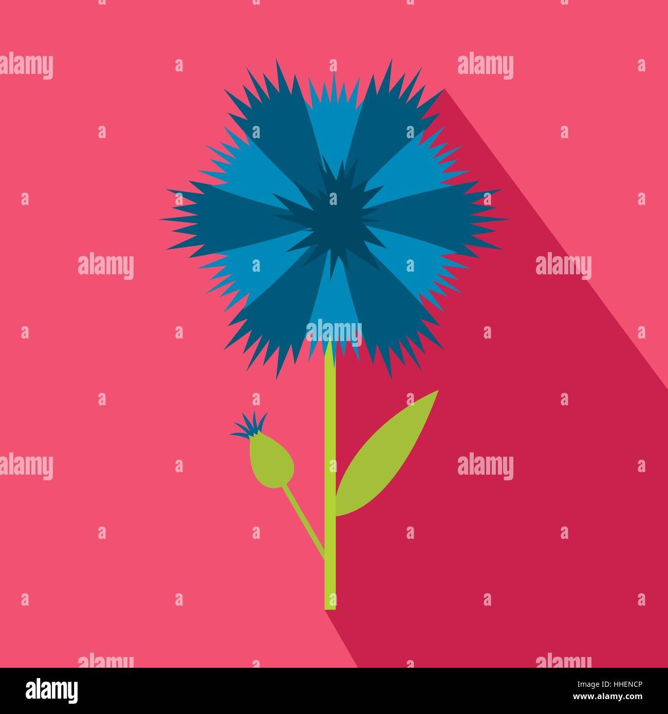 Closeup cornflower Stock Vector Images - Alamy