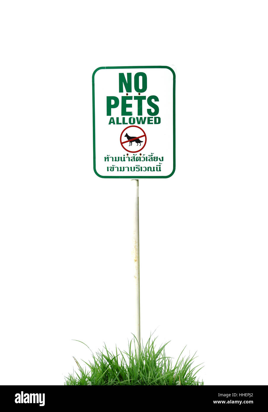 board, isolated, pet, caution, no, sign, ban, authority, permission ...