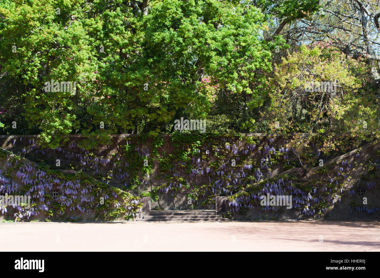Porto: the gardens of Serralves Foundation, one of the most important ...