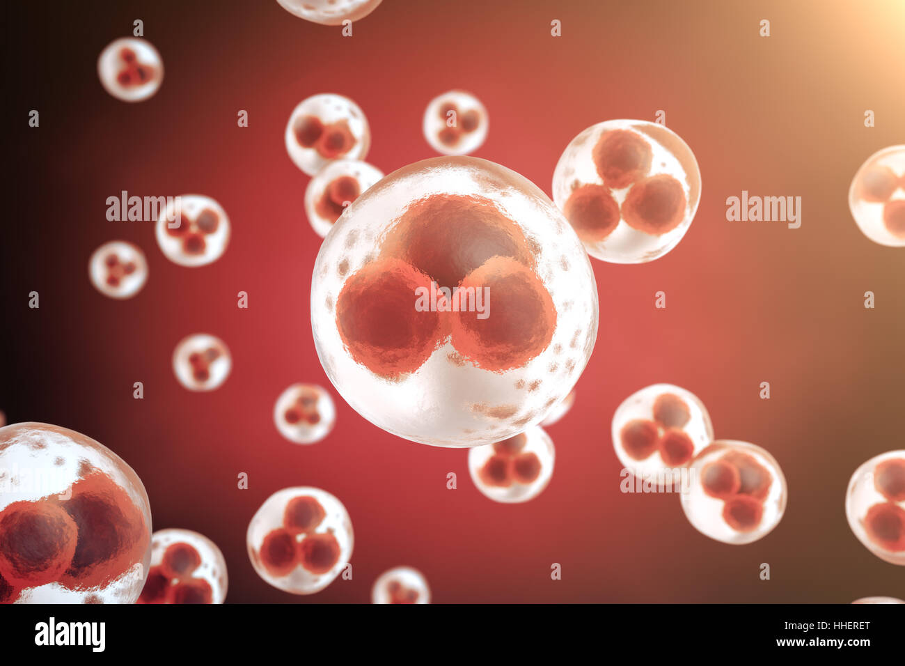 Red cell background. Life and biology, medicine scientific, molecular ...