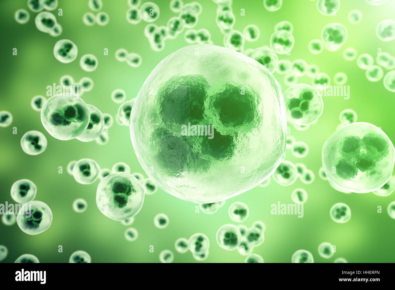 Human cells or animal on green background. Life and biology, medicine ...