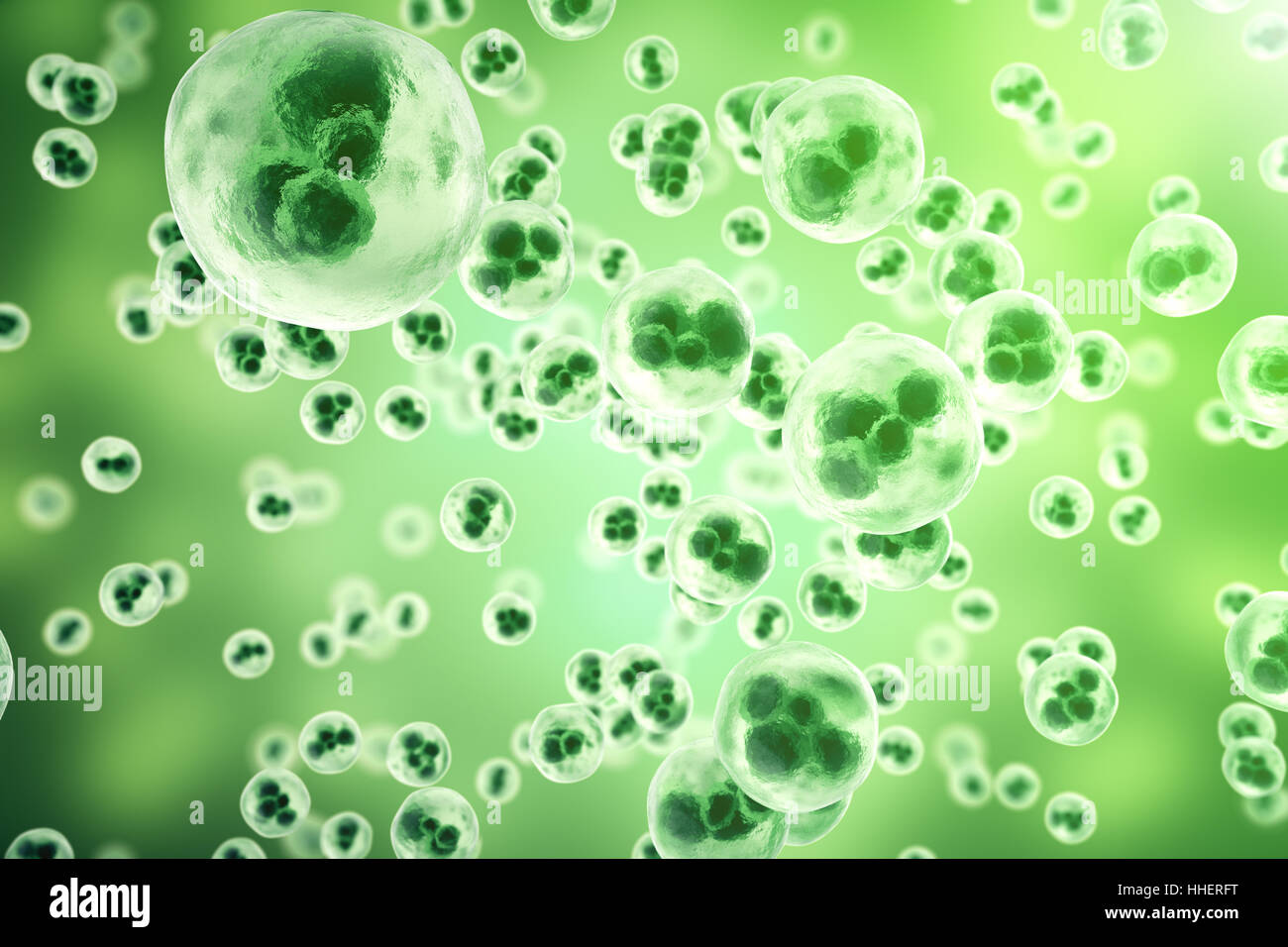 Human cells or animal on green background. Life and biology, medicine ...
