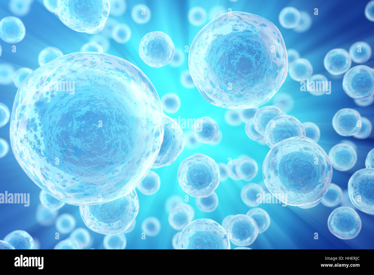 Bioengineering animal hi-res stock photography and images - Alamy