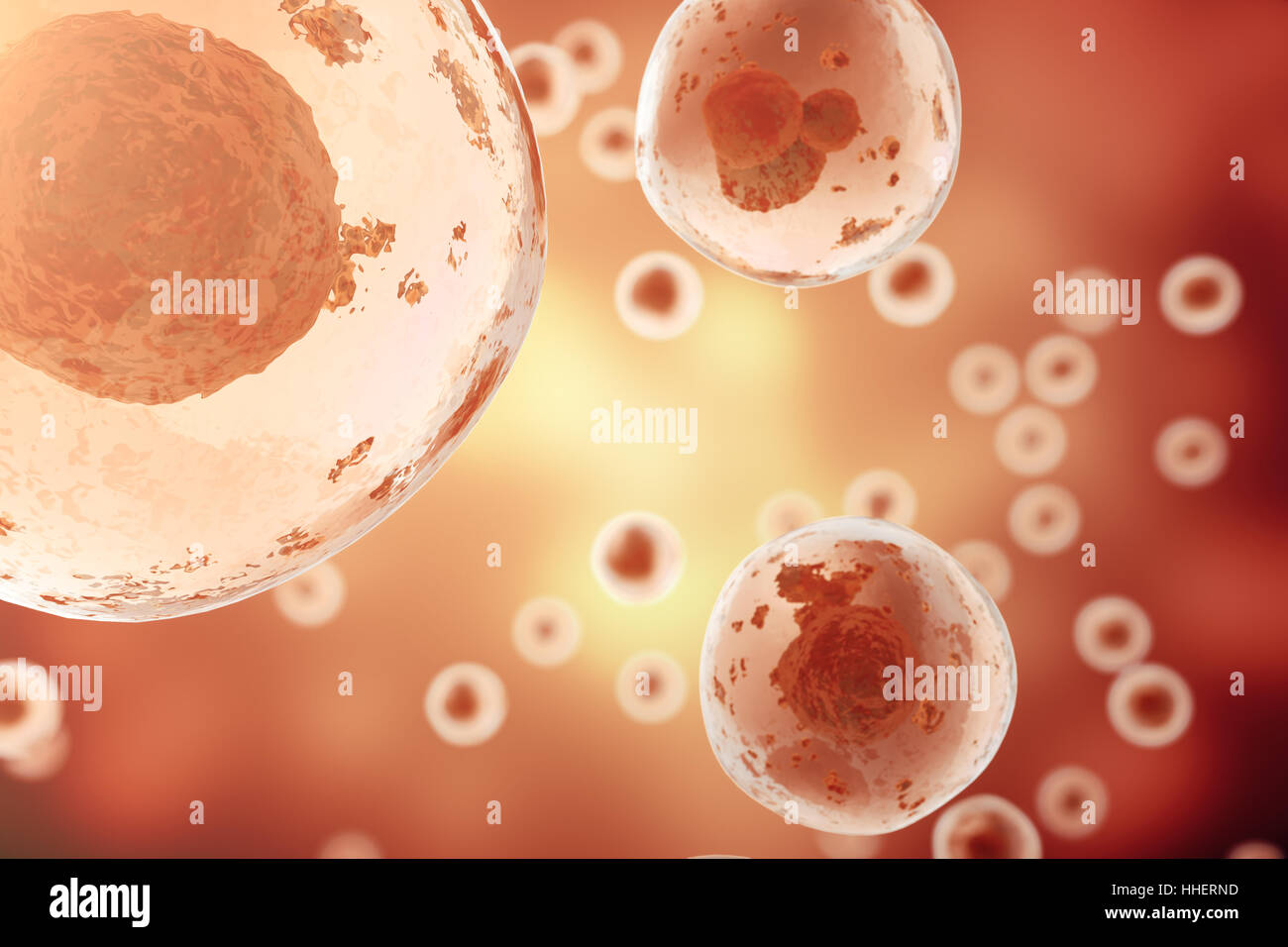 Red cell background. Life and biology, medicine scientific, molecular ...