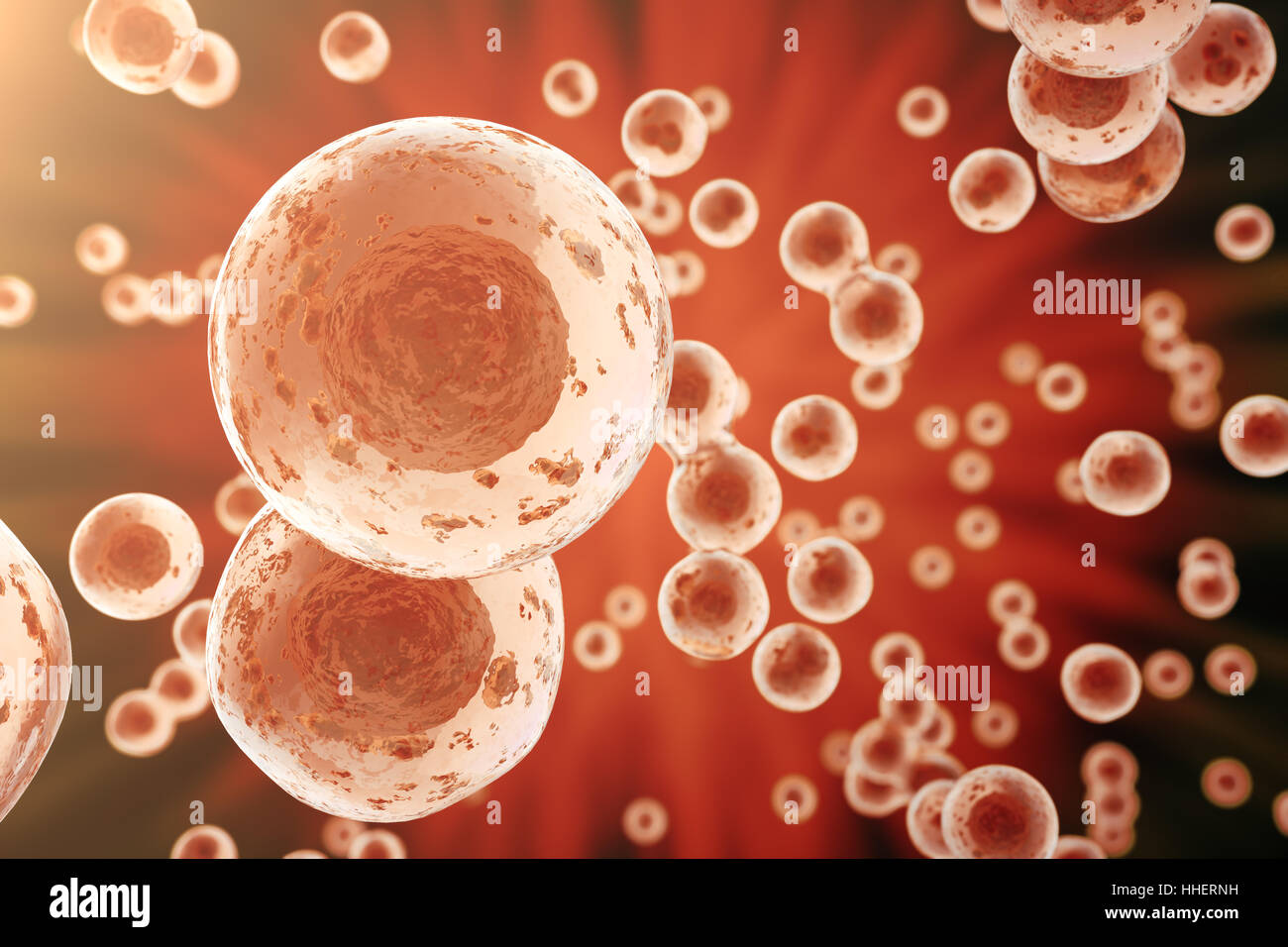 Red cell background. Life and biology, medicine scientific, molecular ...