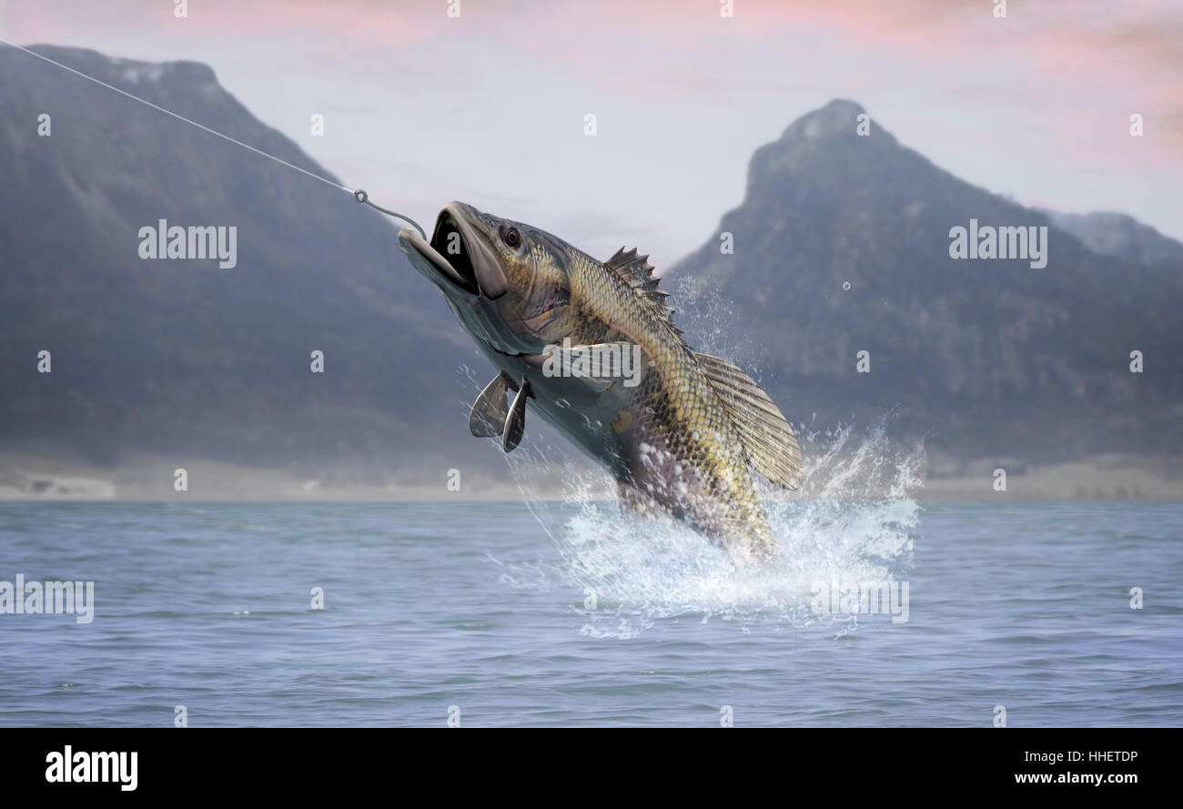 mountains, fresh water, lake, inland water, water, catch, splash, bass ...