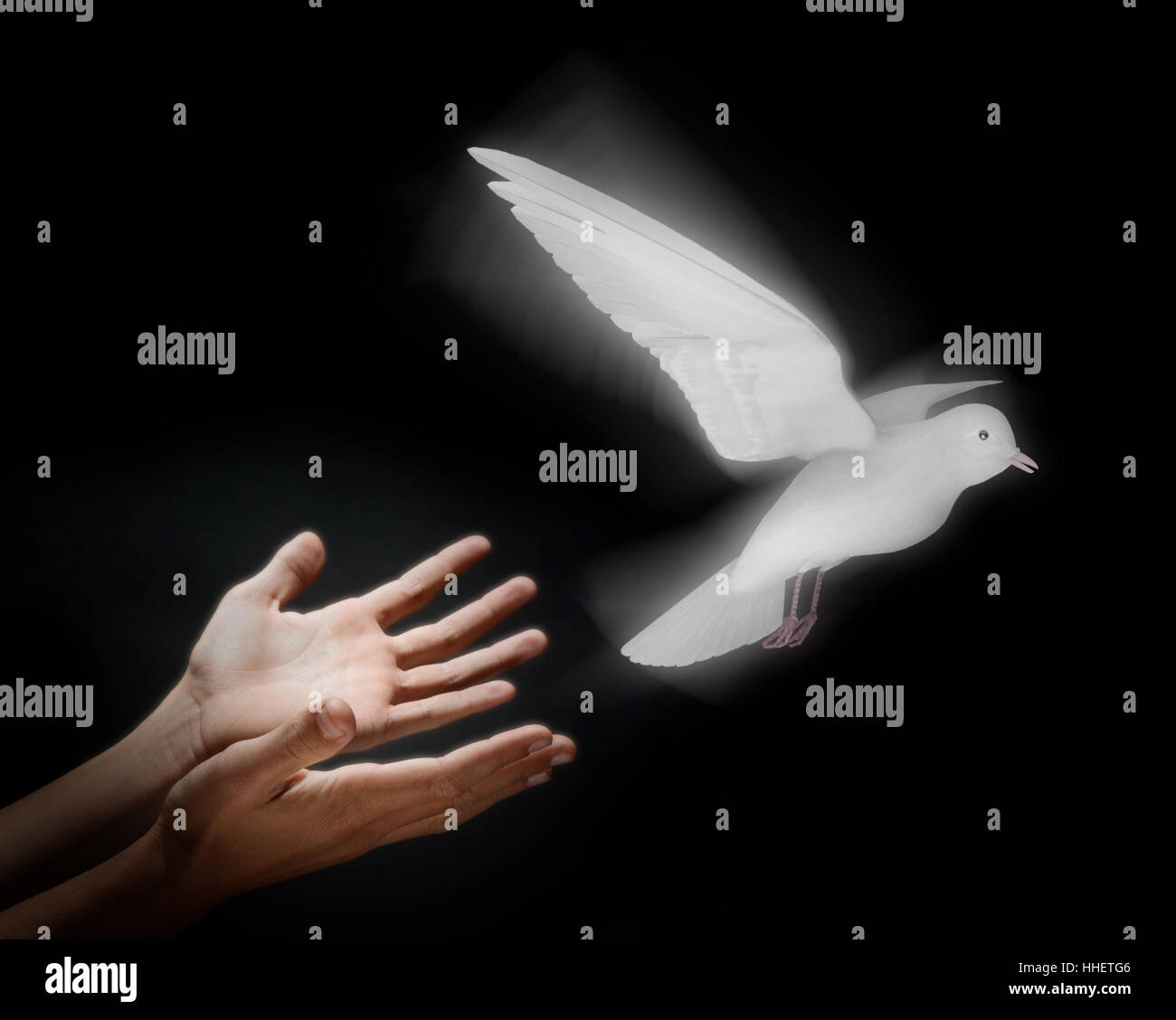 Hand releasing bird hi-res stock photography and images - Alamy