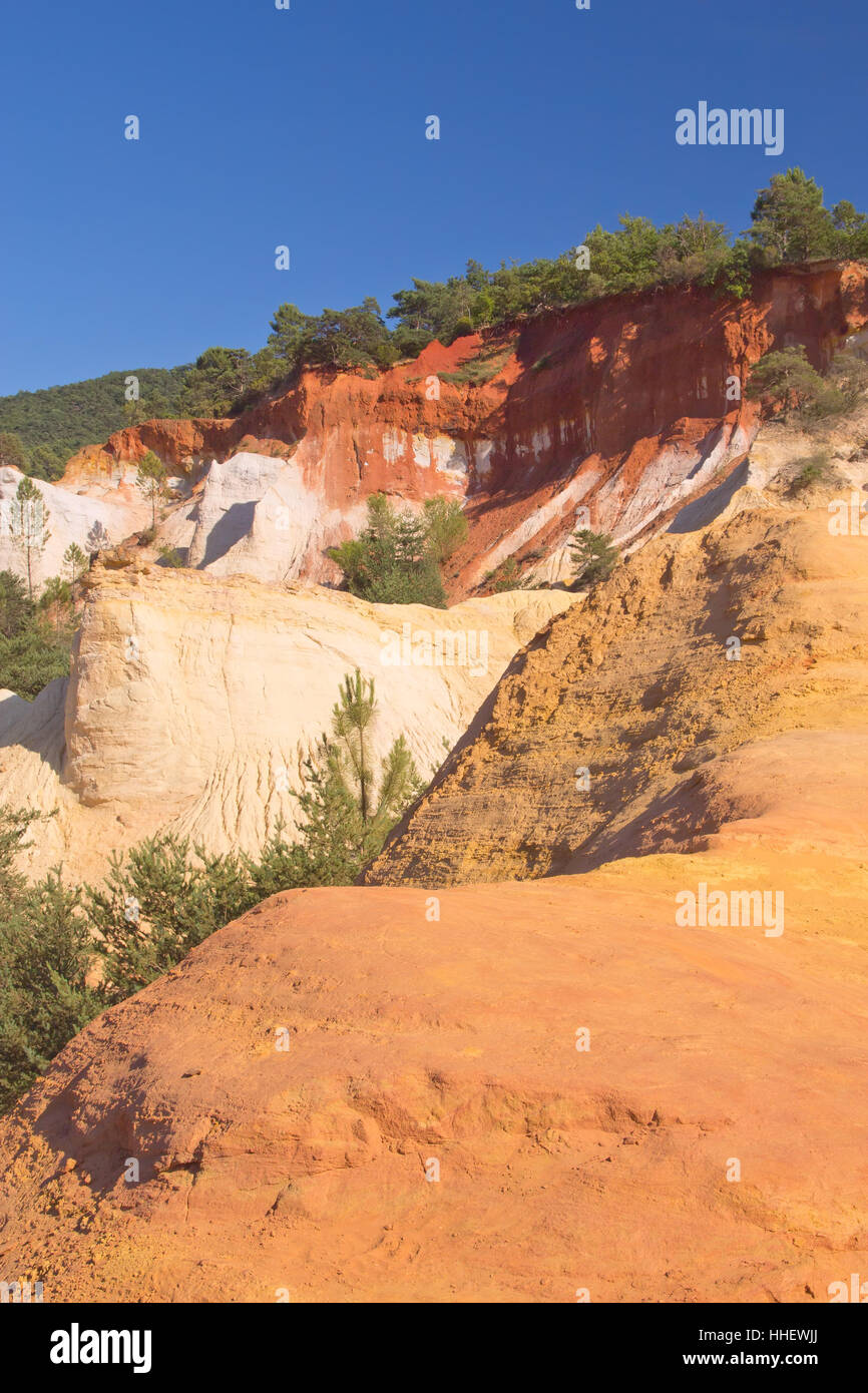 colour, tree, france, orange, landscape, scenery, countryside, nature ...