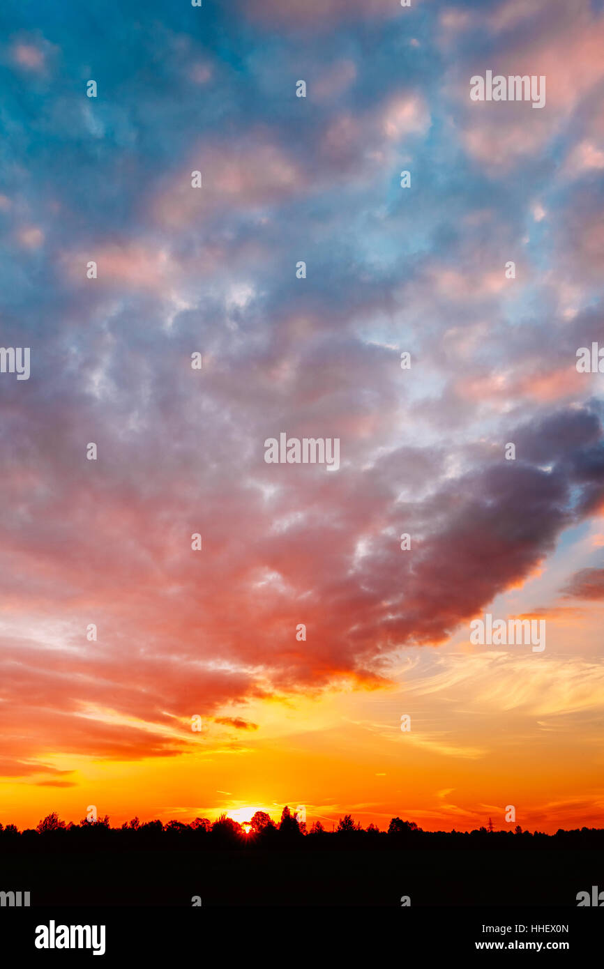 Natural Sunset, Sunrise Over Forest. Bright Dramatic Sky And Dark ...