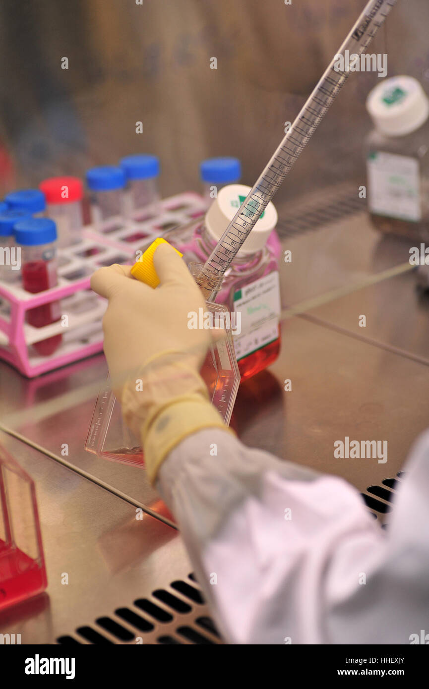 Pasteur Flask High Resolution Stock Photography and Images - Alamy