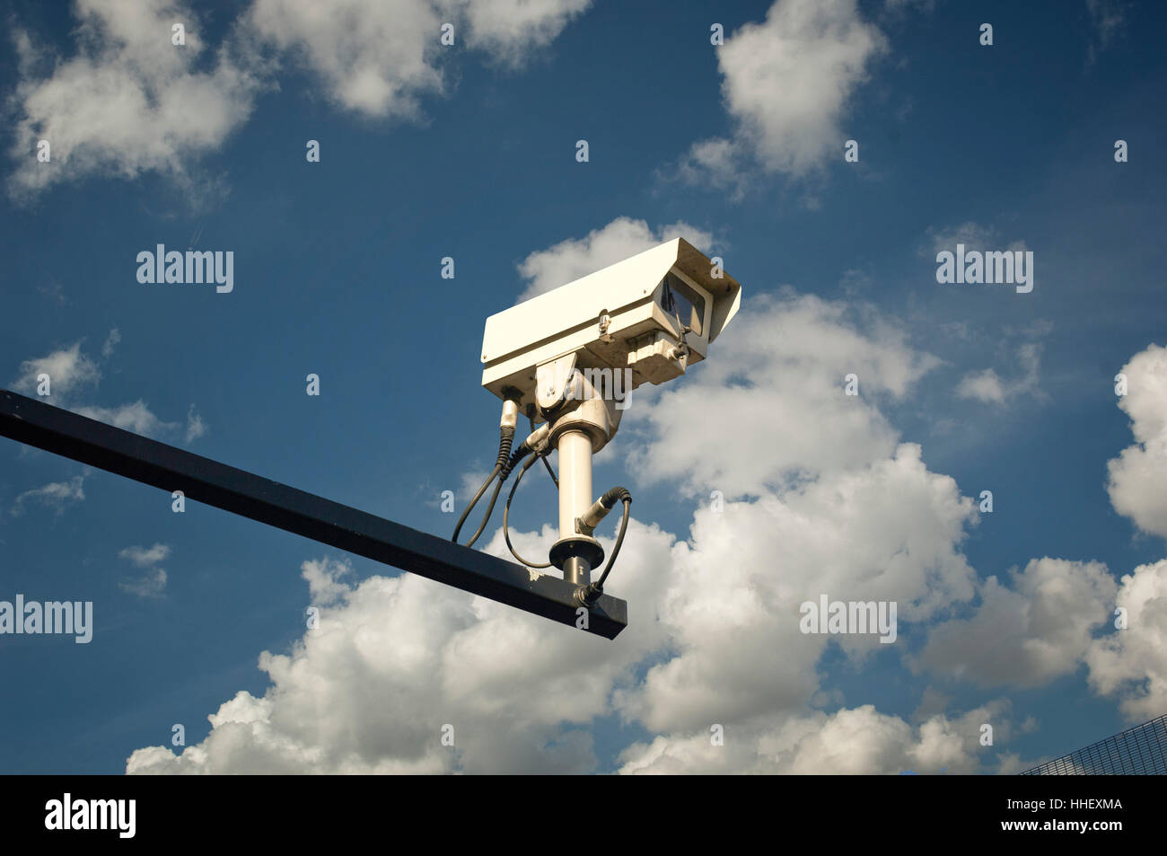 guard, look, glancing, see, view, looking, peeking, looking at, photo ...