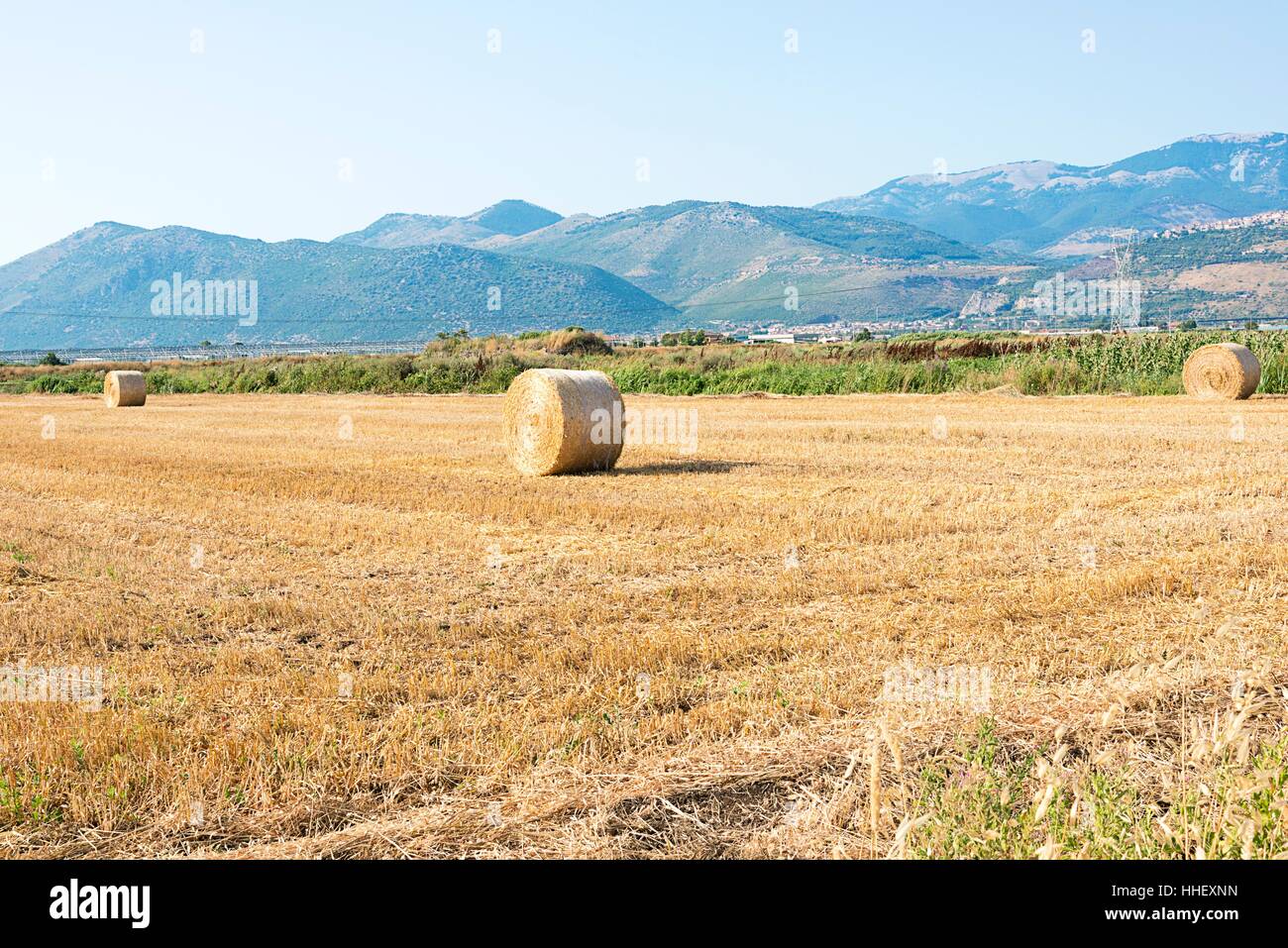 agriculture, farming, field, grain, fields, hay, cereal, food, aliment ...