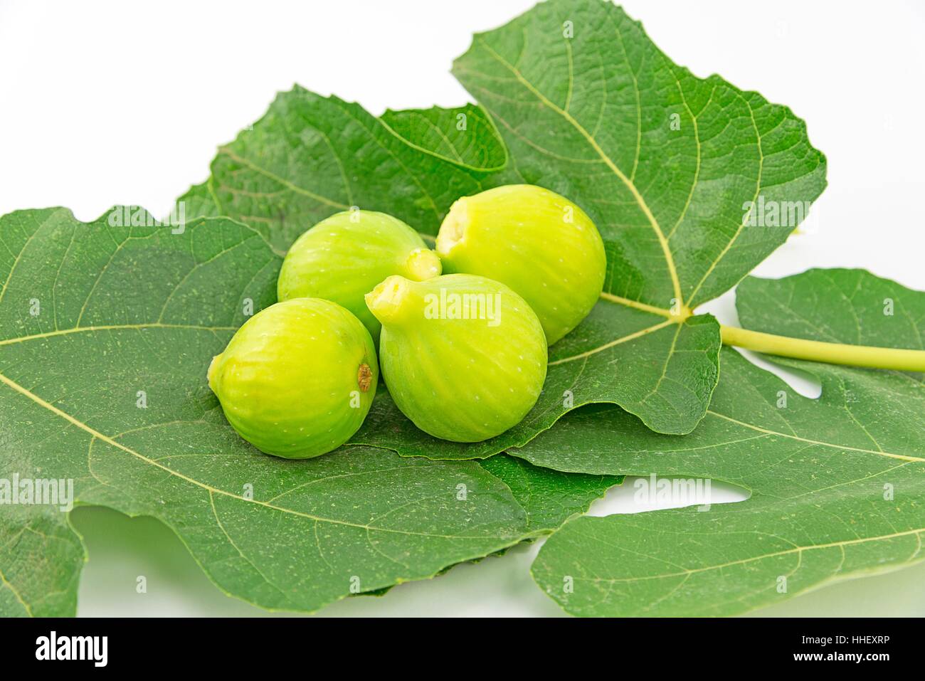progenies, fruits, fruit, figs, fig leaf, food, aliment, object, single ...