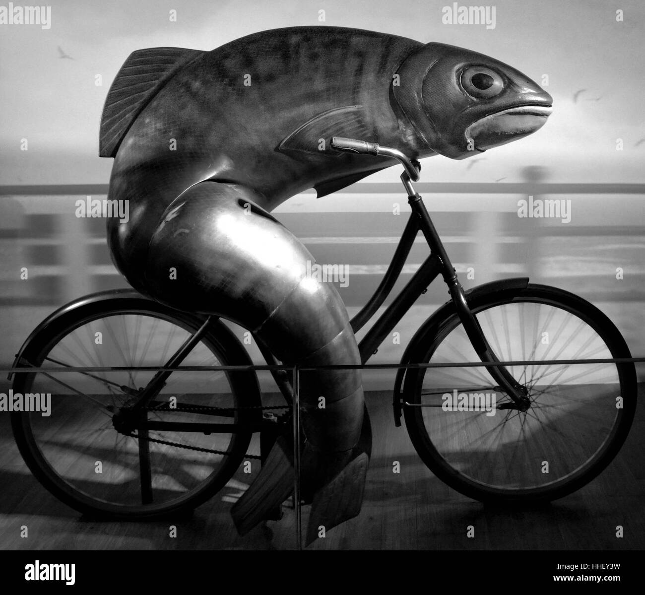 Fish riding a bike Stock Photo - Alamy