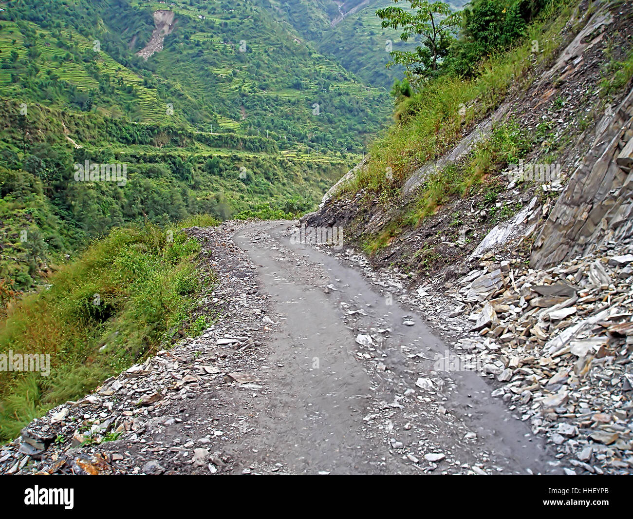 Rural road and green plants in mountains with cloudy sky in Nepal ...