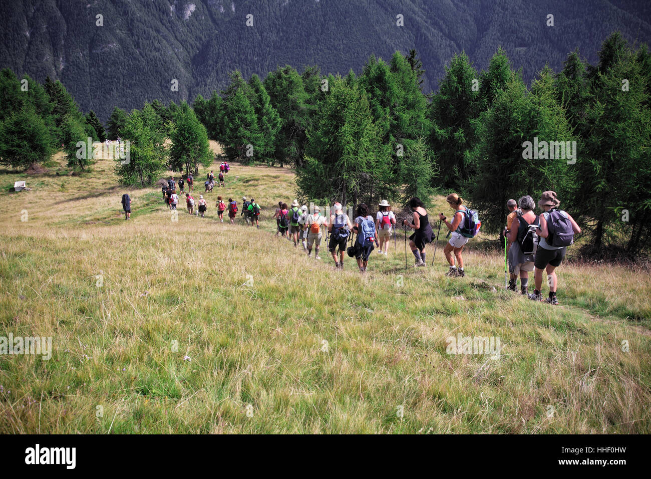 humans, human beings, people, folk, persons, human, human being, walk ...