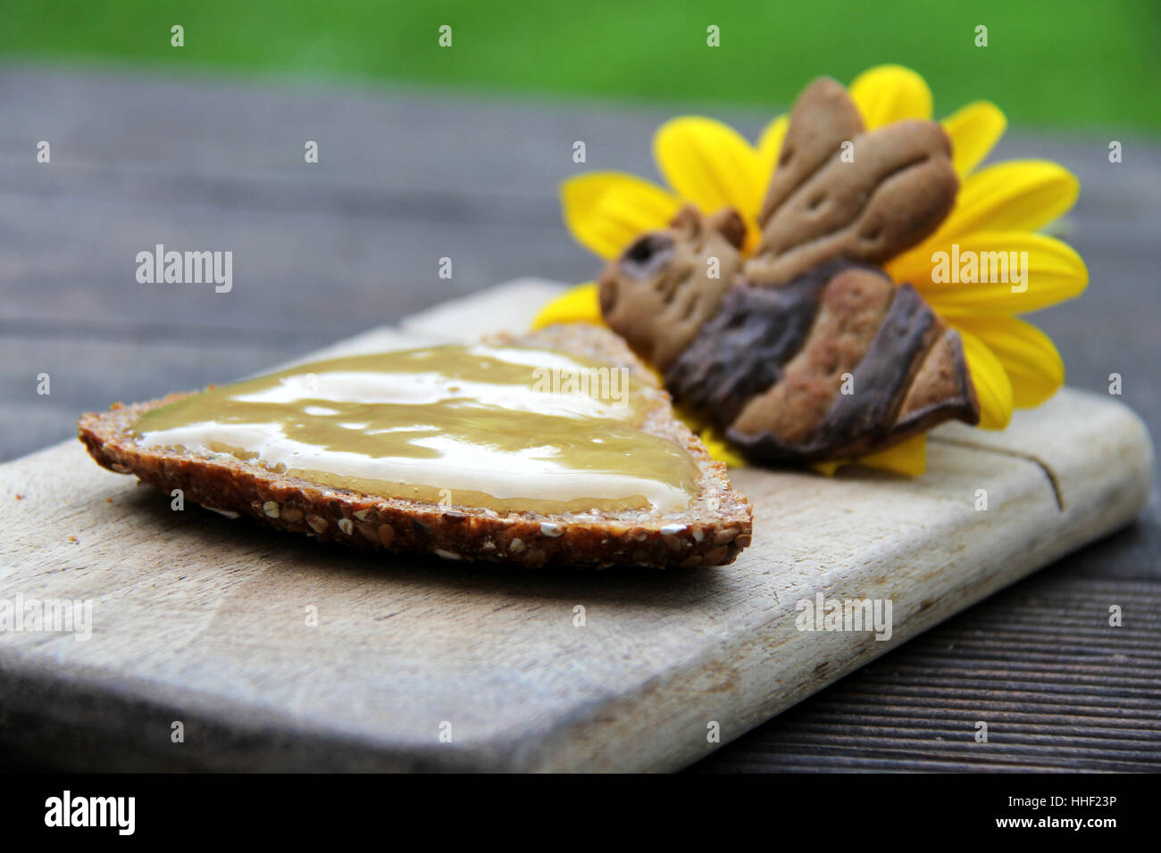 bread, flower, sunflower, plant, honeybee, golden, ingredients, whole ...