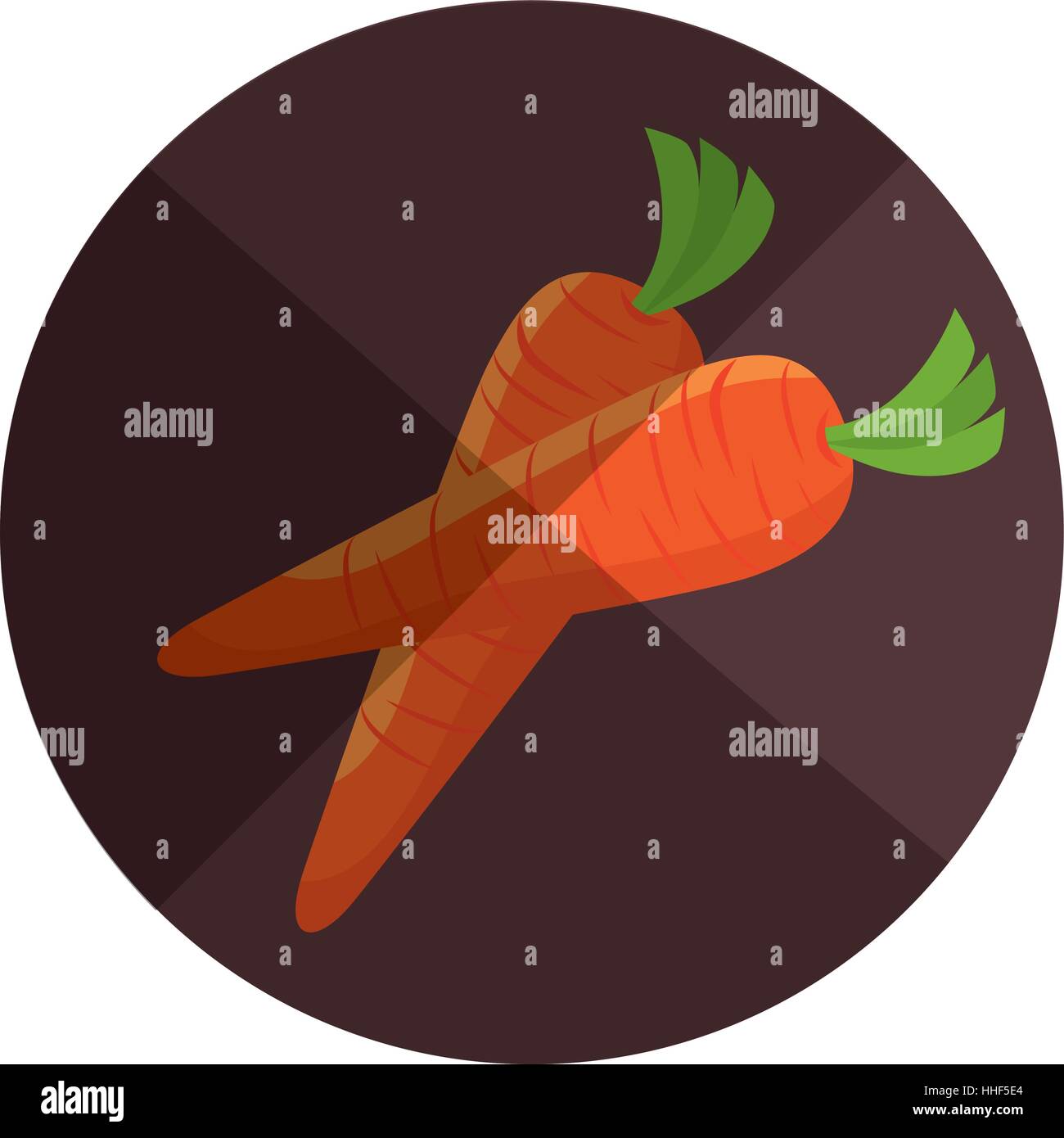 carrot fresh farm product vector illustration design Stock Vector Image ...