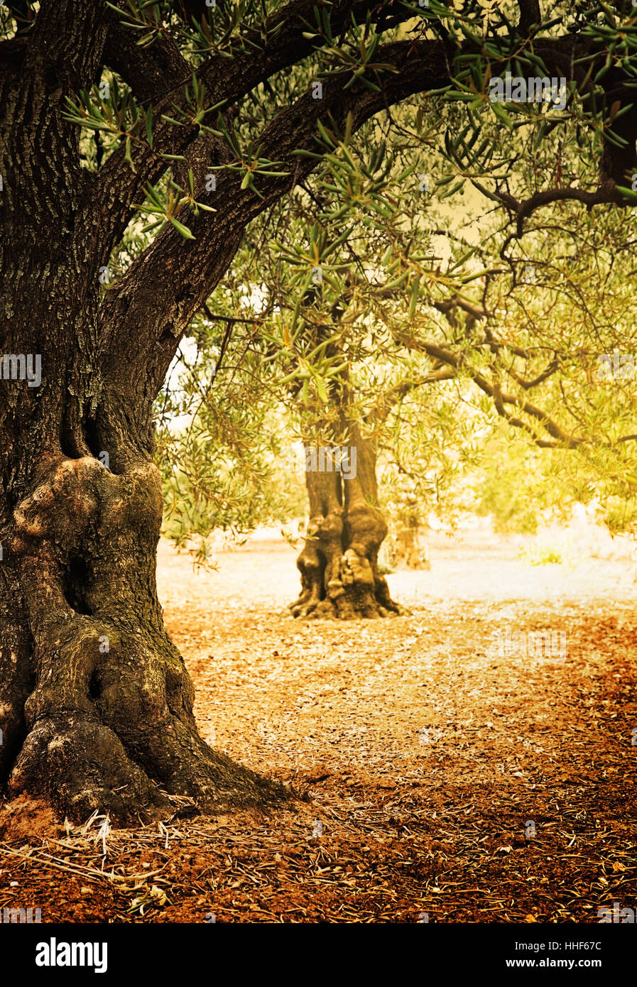 food, aliment, agrarian, agricultural, art, culture, model, design ...