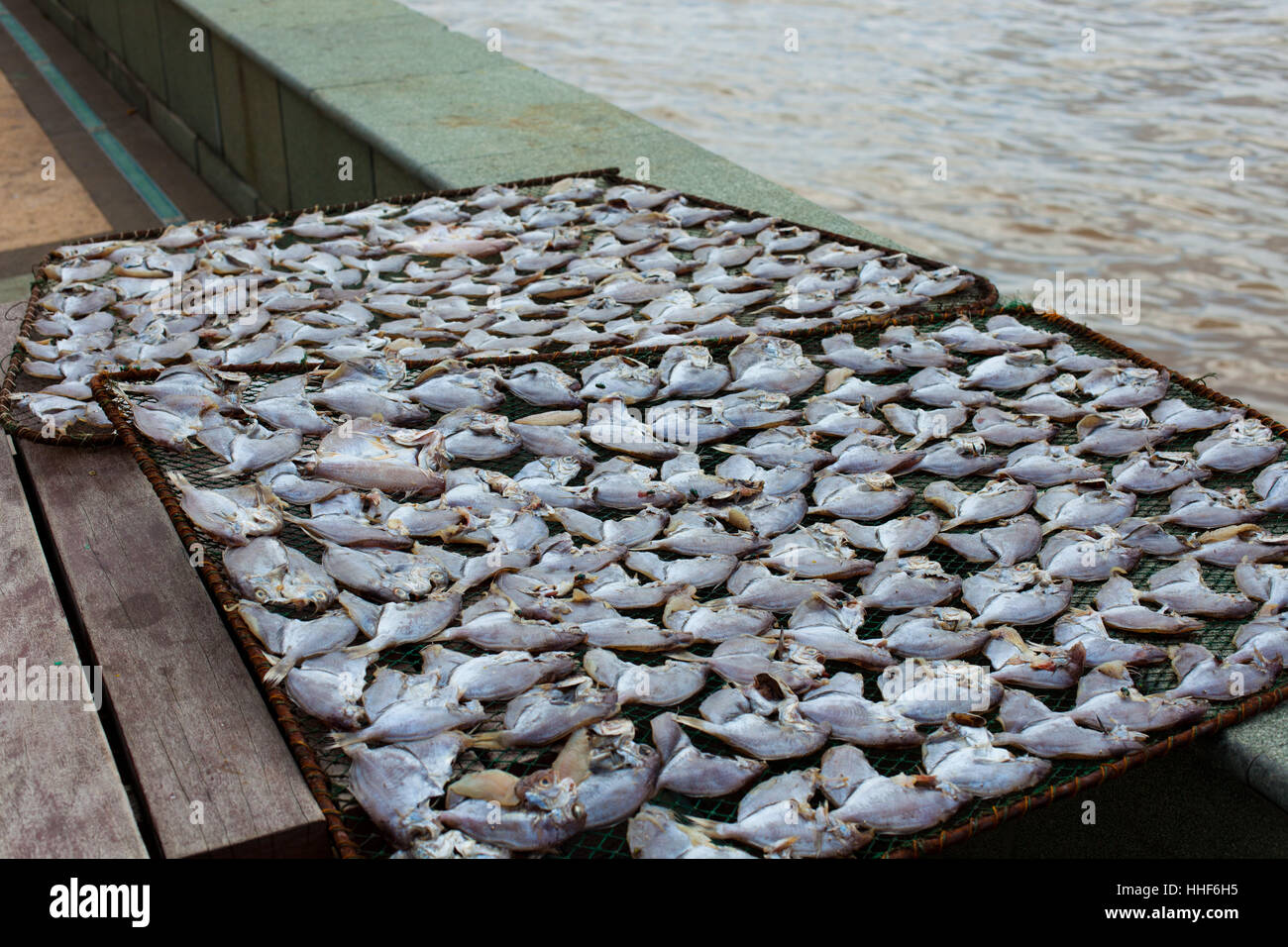 fish, dried, griddle, bank, plate, water, china, shore, fish, dried ...