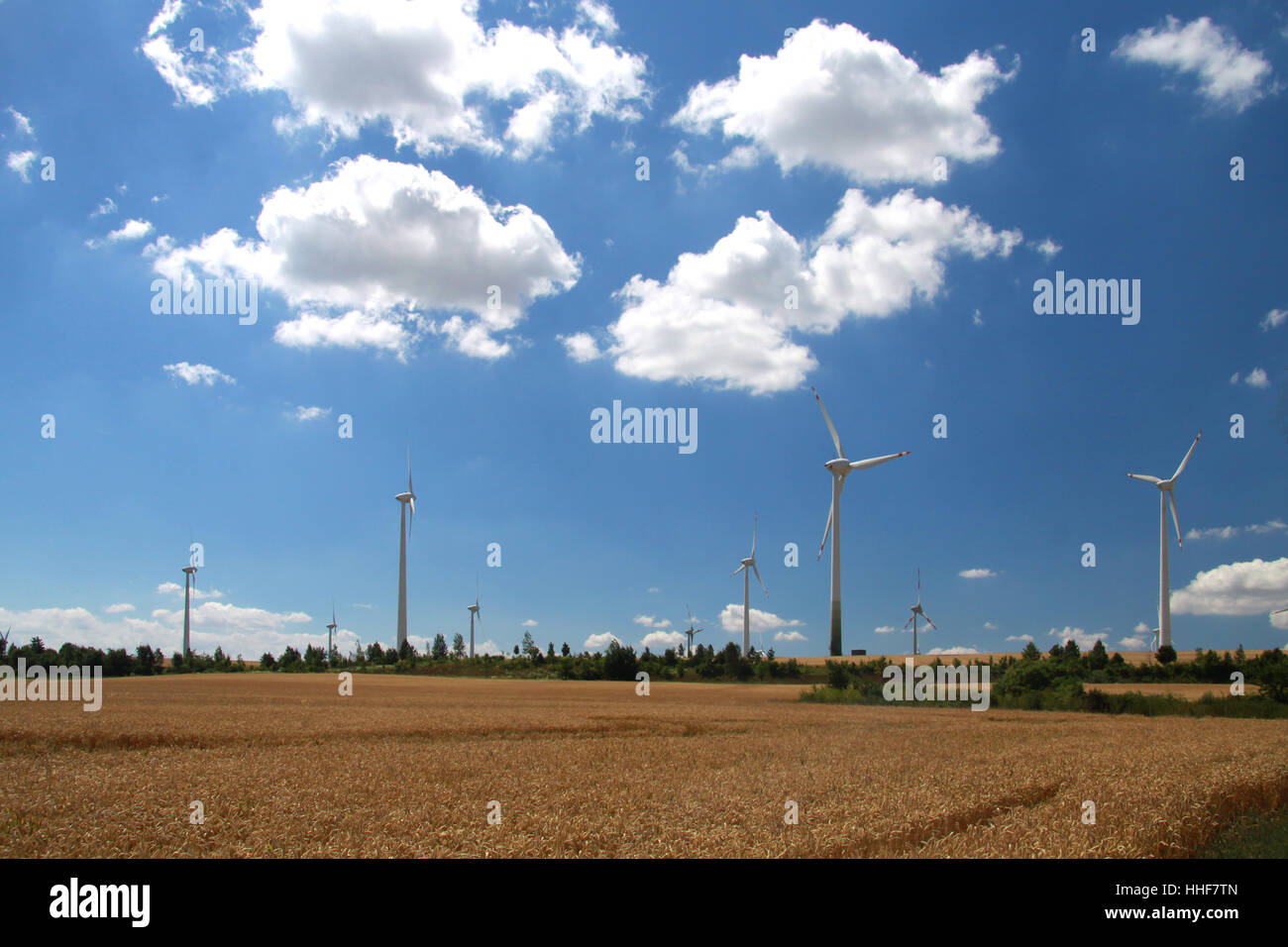 food, aliment, agriculture, farming, field, grain field, culture ...