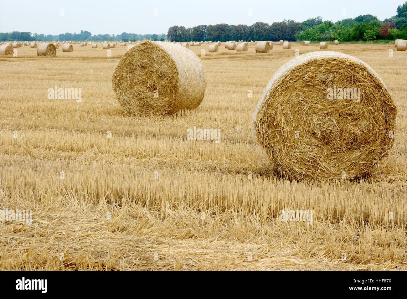 agriculture, farming, field, summer, summerly, harvest, farm, hay, land ...