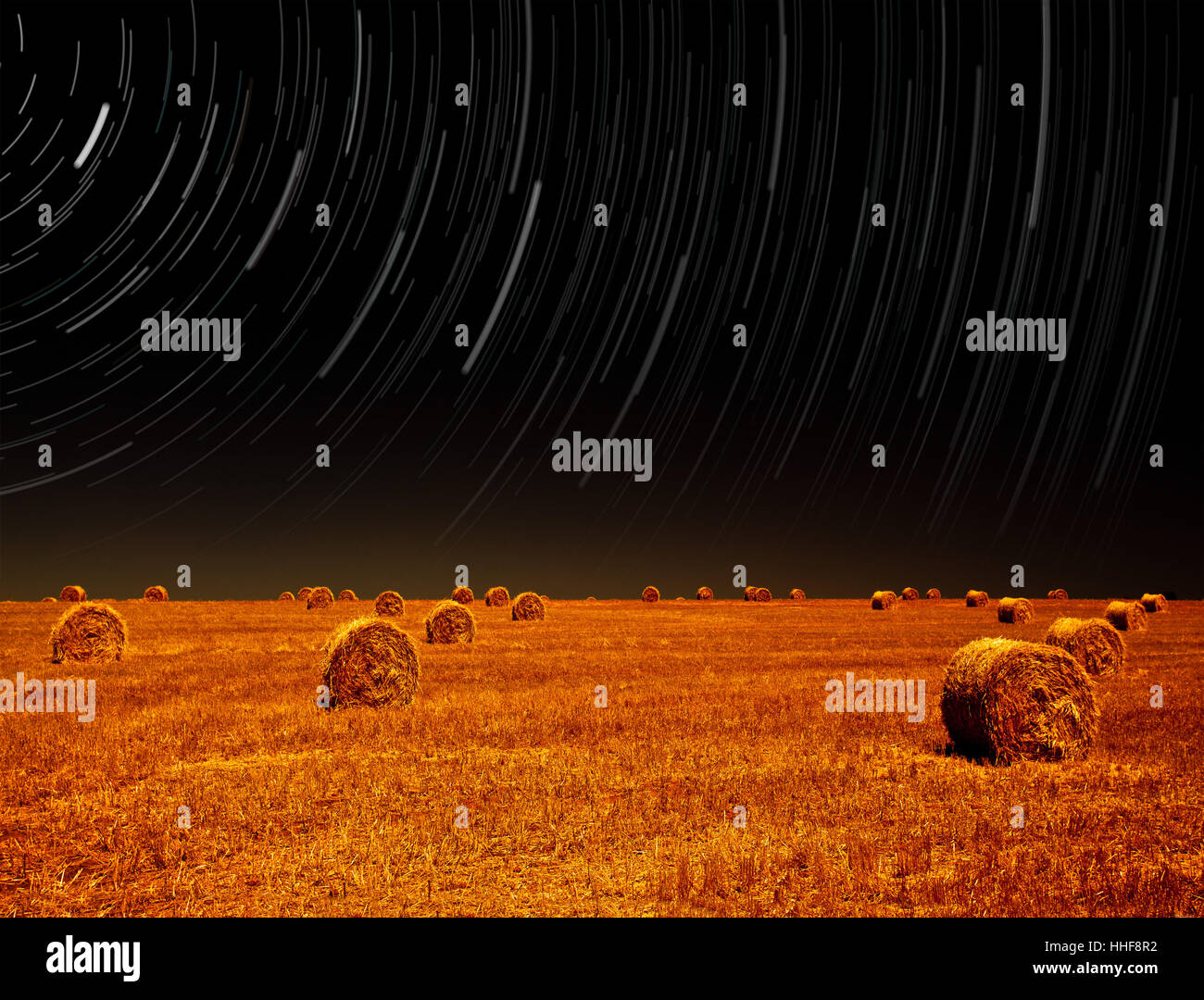 night, nighttime, field, magic, firmament, sky, nature, fall, autumn ...