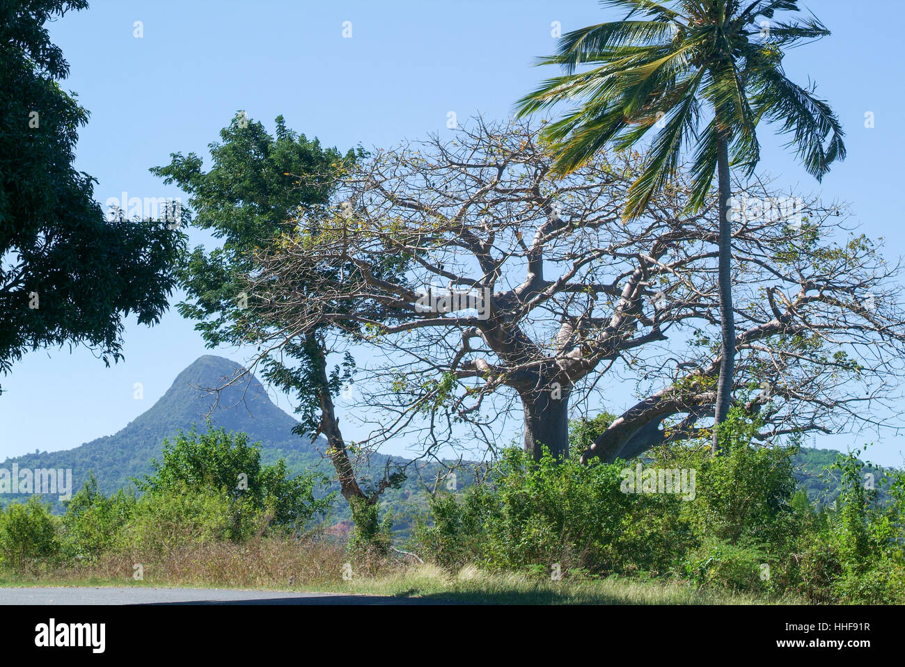 Mayotte volcano hi-res stock photography and images - Alamy