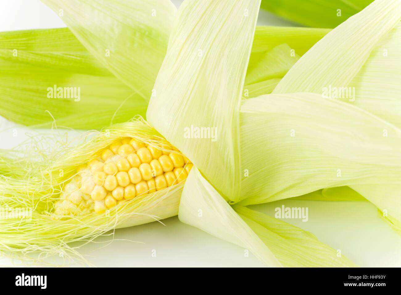 isolated, grain, vegetable, corn, corncob, vegetables, popcorn, cereal ...