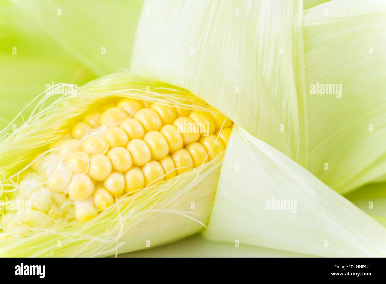 isolated, grain, vegetable, corn, corncob, vegetables, popcorn, cereal ...