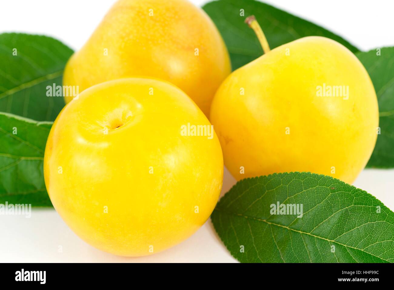 progenies, fruits, fruit, plum, food, aliment, leaf, isolated, tree ...