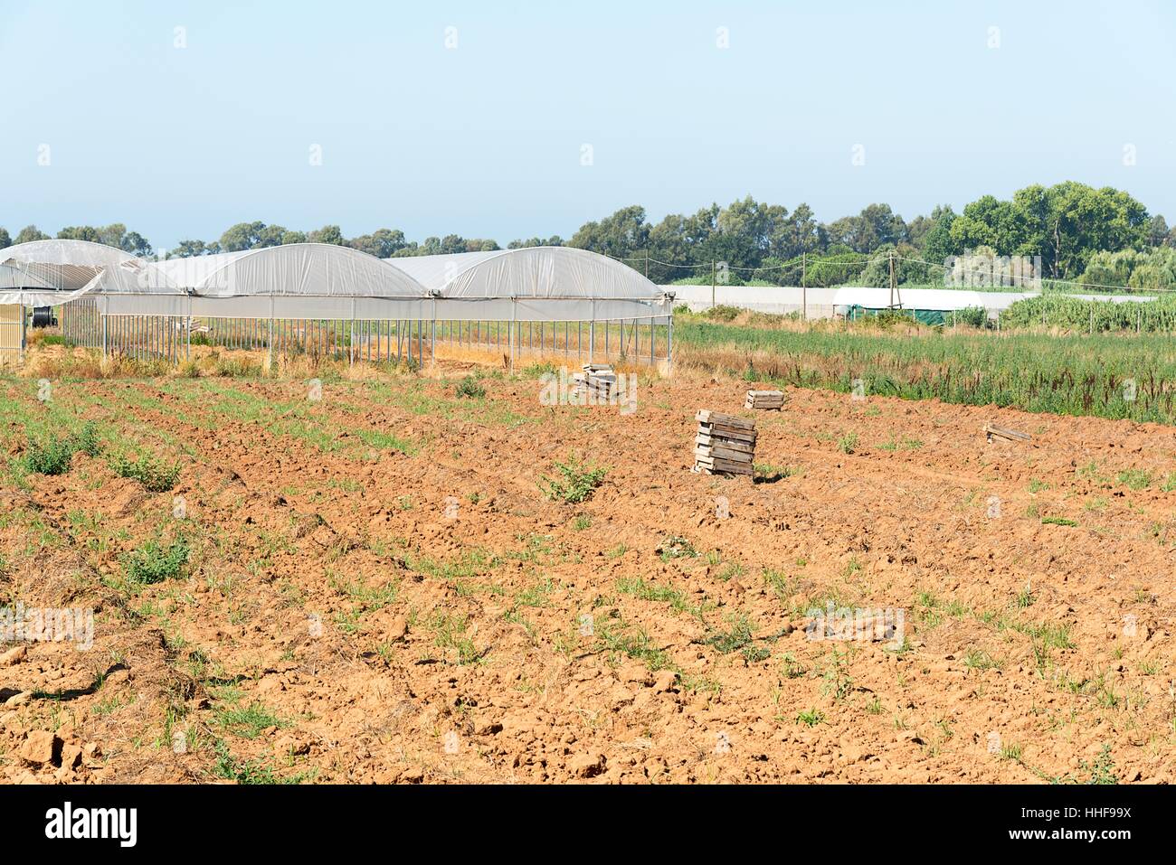agriculture, farming, field, ground, soil, earth, humus, agriculture ...