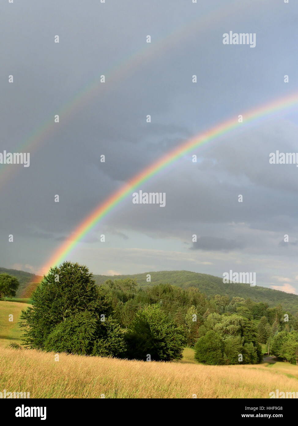 Double trees hi-res stock photography and images - Alamy