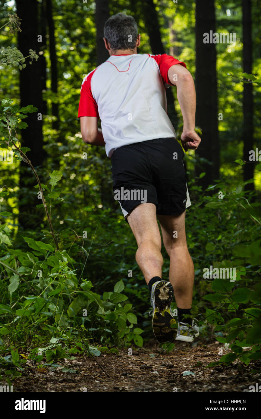 trail running in the woods Stock Photo - Alamy