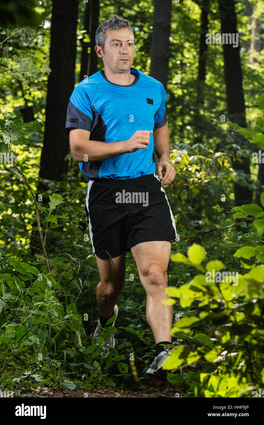 trail running in the forest Stock Photo - Alamy