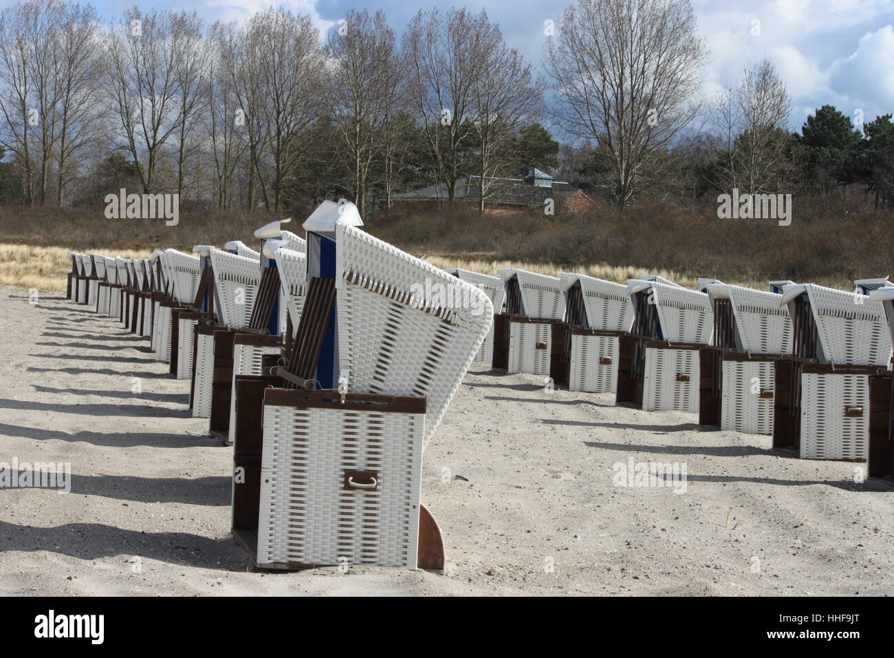 relaxation, tree, trees, beach, seaside, the beach, seashore, formation ...