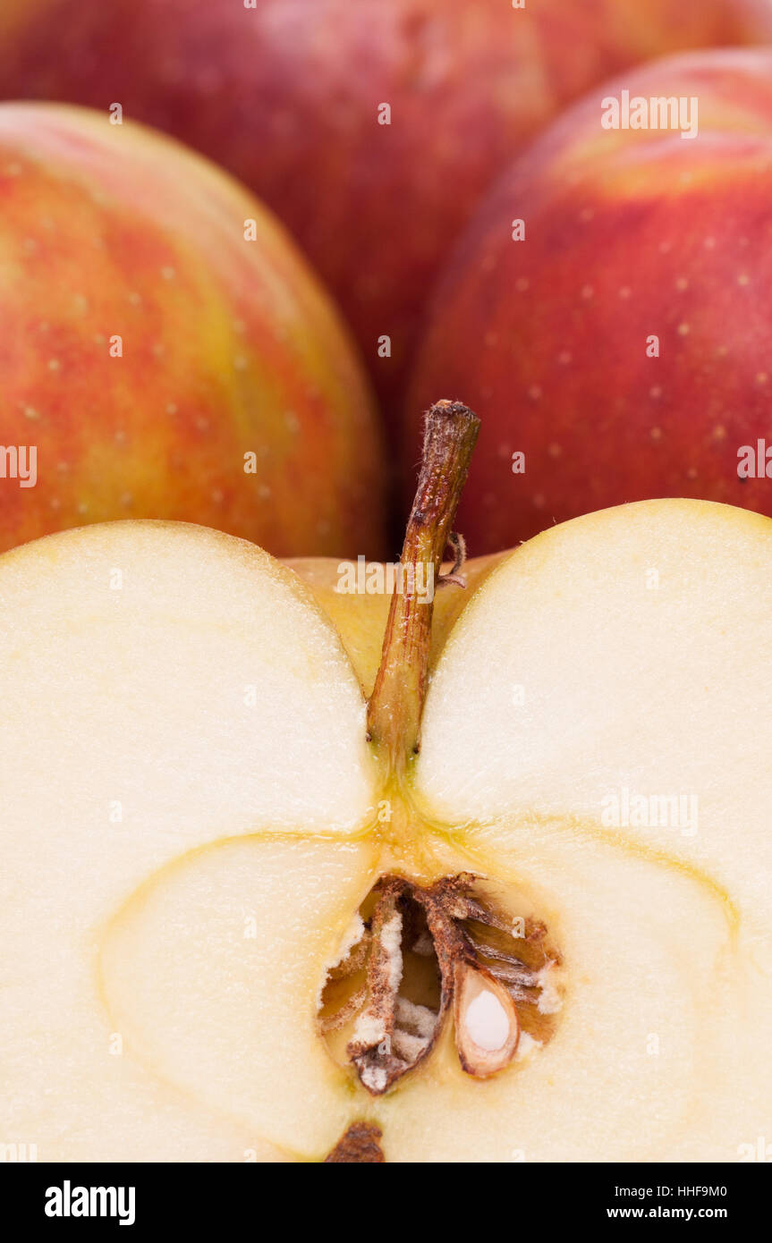 food, aliment, fruit, apples, apple, backdrop, background, sour, kind ...