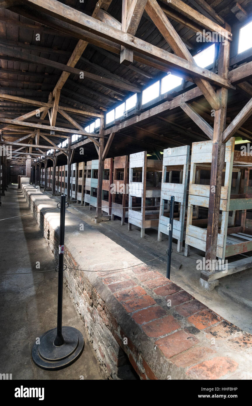 Auschwitz concentration camp bed hi-res stock photography and images ...
