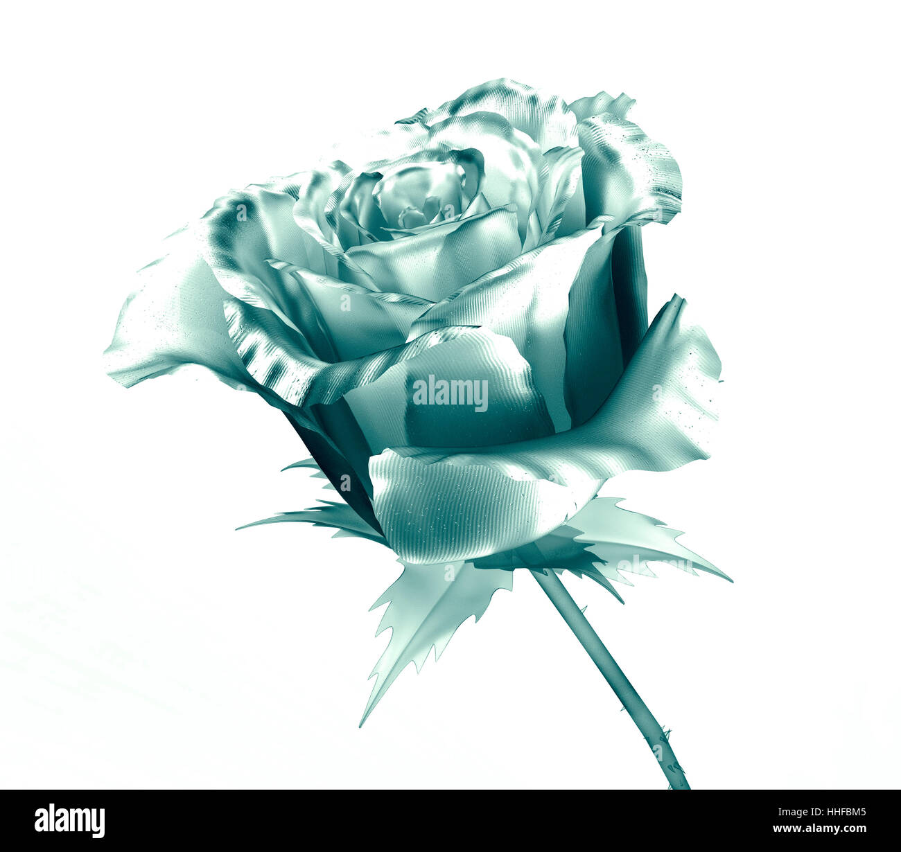 3d rose flower hi-res stock photography and images - Alamy