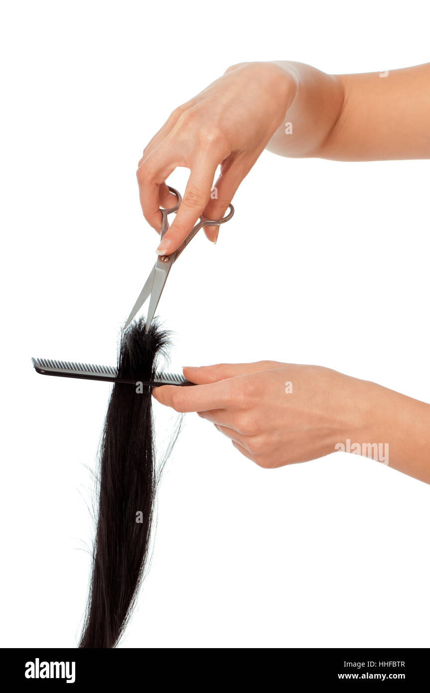 humans, human beings, people, folk, persons, human, human being, woman ...