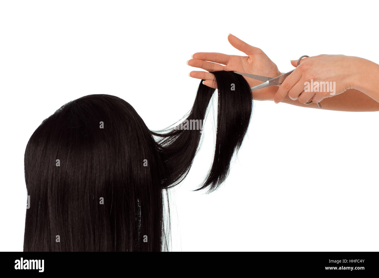 humans, human beings, people, folk, persons, human, human being, woman ...