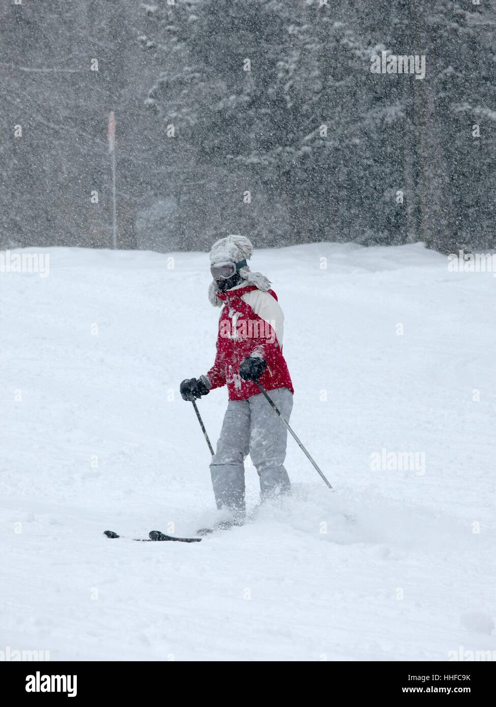 Female skier in heavy snowfall Stock Photo - Alamy